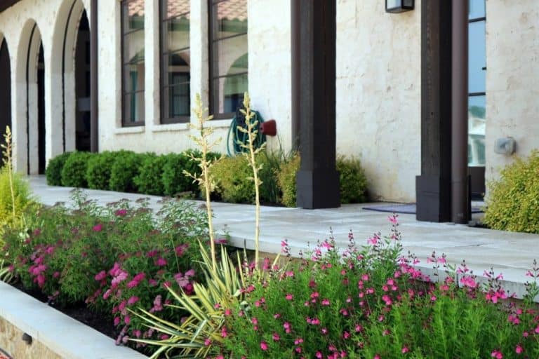 Landscaping Gallery | Project Photos by Ellis Landscape Services